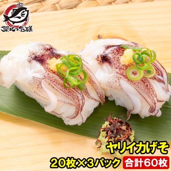 【商品名】ヤリイカげそ２０枚(寿司ネタ・刺身用やりいかげそ）【原産国】ベトナム、インド、タイ【原材料名】やりいか、食塩【内容量】合計６０枚・２０枚×３パック（８ｇ×２０枚）【賞味期限】パッケージに記載（お早めにお召しあがり下さい）【保存方法...