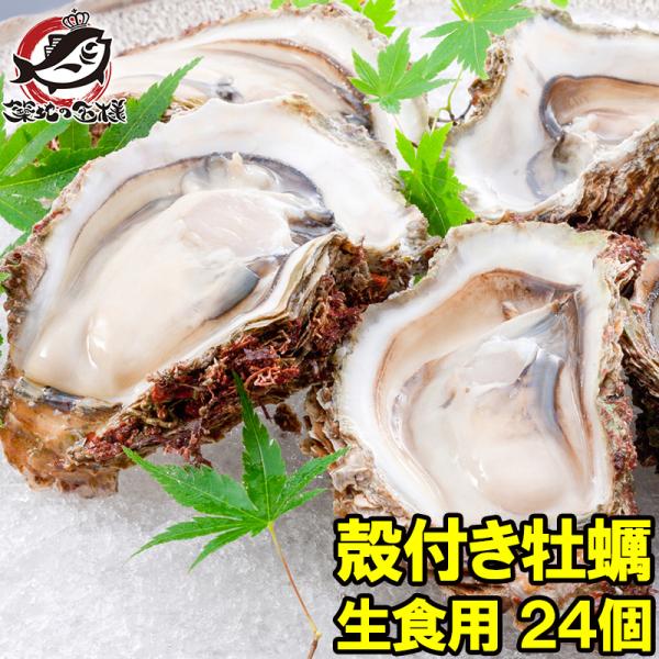 送料無料 生牡蠣（２４個入り・冷凍殻付き牡蠣・生食）殻付きの冷凍生牡蠣！生食可能でプリプリのカキを是非一度。【冷凍生牡蠣】【かき】【カキ】【牡蠣】【カキフライ】【商品説明】冷凍殻付きかき（生食用）【原材料】マガキ【原産地】国産（兵庫、広島等...