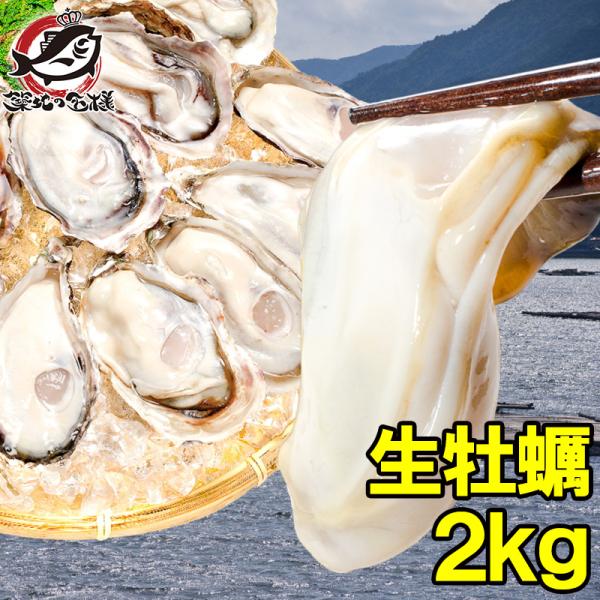 送料無料 生牡蠣 ２ｋｇ 生食用カキ（冷凍時１ｋｇ解凍後８５０ｇ×２パック・冷凍むき身牡蠣・生食用）冷凍なのに生食可！瀬戸内海産のプリプリ生牡蠣を是非一度。【冷凍生牡蠣】【かき】【カキ】【牡蠣】【カキフライ】【商品説明】冷凍むき身かき（生食...