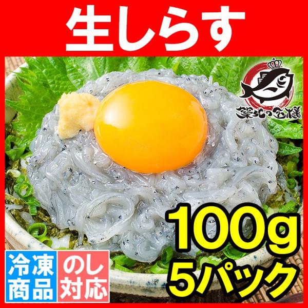 【商品説明】生しらす　生シラス【原材料名】いわし稚魚（生しらす）【内容量】500g・100g×5パック【賞味期限】パッケージに記載【保存方法】冷凍−18度以下【製造者】株式会社ヤママル　静岡県静岡市清水区蒲原小金184−1※原材料のしらすは...