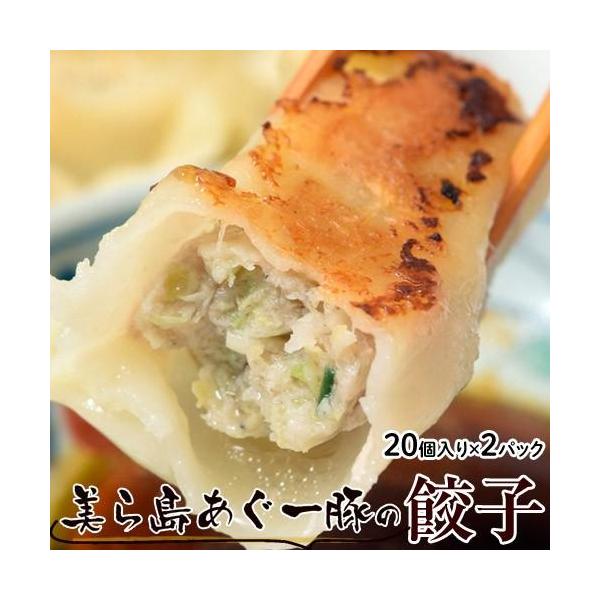 沖縄・美ら島あぐー豚を使用した生餃子。豚肉の旨味をぎゅっと閉じ込めて冷凍でお届けします。アグー50％と大ヨークシャー・ランドレースの掛け合わせ50％からなる、「美ら島あぐー豚」を100％使用しております。あぐー豚はとにかく旨味が濃厚な肉汁が...