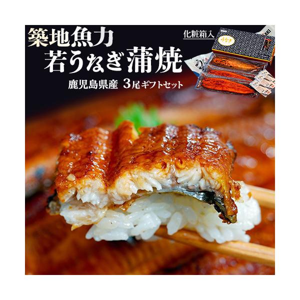 ※1尾の包装デザインが変わる可能性がございます。予めご了承ください。一般的にうなぎは、シラスの池入れから1年以上かけて育ちますが、『若うなぎ』は、池入れからたった半年ほどで大きく育った非常に珍しいうなぎです。“若うなぎ”として池揚げされるも...