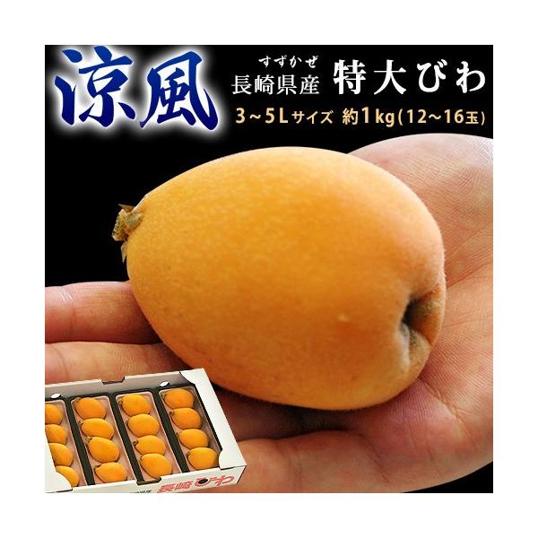 希少な超特大ビワをお届けいたします。これほどに立派なビワは、そうそうお目にかかれるものではございません。大玉だけあって果肉が厚く、当然ながら果汁量も多いです。登録されたのは１９９９年ですが、流通が始まったのは、最近です。生産が難しい品種なの...