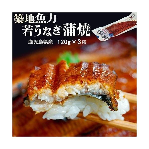 養殖期間1年以内の「若うなぎの蒲焼」です。1尾約120g、うな丼で1〜2人前になる大きさを【3尾→6,980円送料込み】でお届けします！身がふわりと柔らかく、とろけるような食感が魅力。 クセが少なく上品な旨味を楽しめる「若うなぎ」。うなぎ業...
