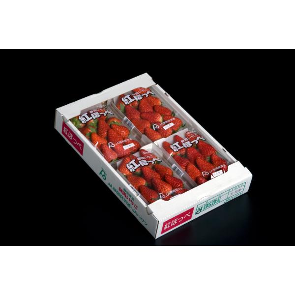 ”ほっぺが落ちるほどの食味の良さ”が由来の『紅ほっぺ』が入荷のピークのため、大粒を詰め合わせたデラックス（DX）規格に限定して大特価でお届けいたします。収量の良い「章姫」と香りが良く甘い「さちのか」を掛け合わせて2002年に登録された、静岡...