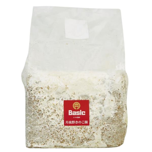 クワガタ幼虫飼育用菌糸のスタンダードを目指し開発 2000年に発売を開始し、現在までの実績は多数Basicシリーズは「シンプル」「必要最小限」をコンセプトに開発したクワガタ専用の菌糸シリーズです。クワガタ幼虫のエサになる菌糸ブロック・菌床ブ...