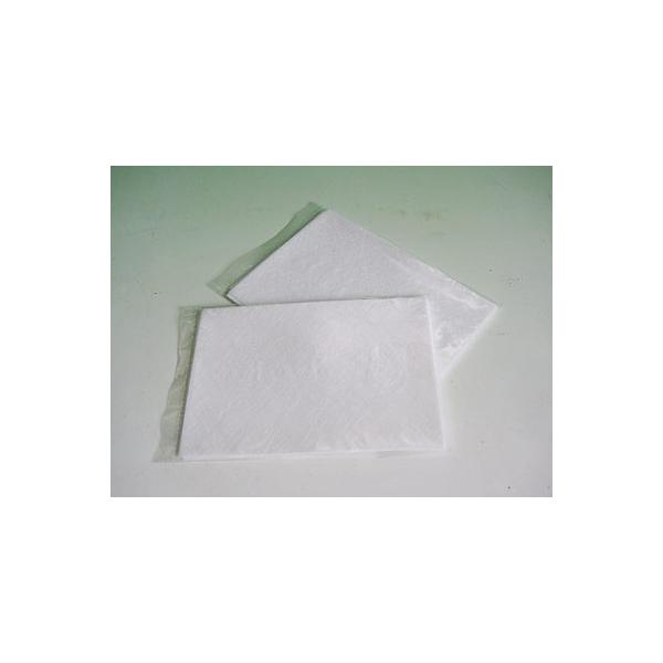 替えフィルター(不織布)1袋(10枚入り)　