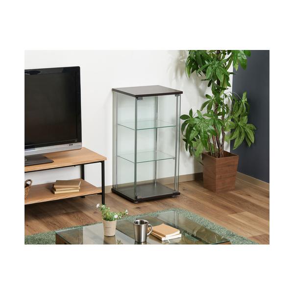 不二貿易 ガラスコレクションケース3段 BR 96049  448