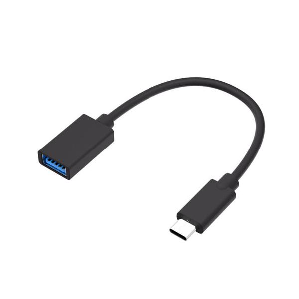 AREA エアリア USB3.1対応 Type-Cホストケーブル ▼規格：3.1 ▼コネクタ形状1：Type-A メス ▼コネクタ形状2：Type-C オス ▼結線：変換 ▼長さ：22cm