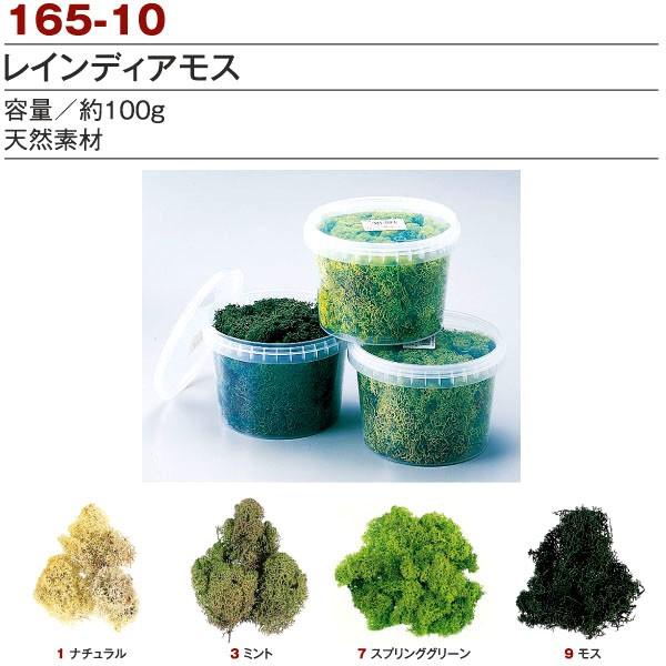 レインディアモス 約100g