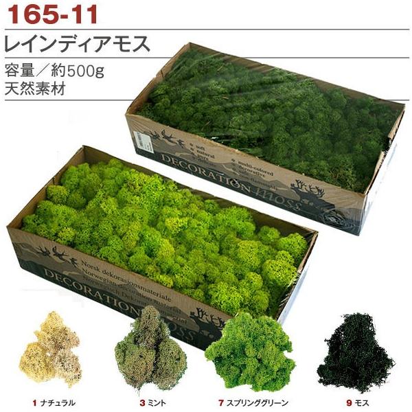 ■約500g北欧のツンドラ地帯でとれる苔を丁寧にプリザーブド加工しています。有害物質は一切使用しておりません。