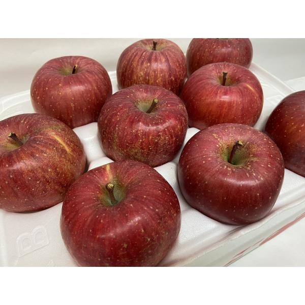 長野県は北信濃産のサンふじ5kgの商品となります。当店の提携農家、卸売市場の仲買人がその時旬のりんごを選果しお届けします。 産地は長野県の北信地区に位置する北信濃産になり、降水量が少なく昼と夜の寒暖の差が大きい場所でりんごをはじめ果物栽培に...