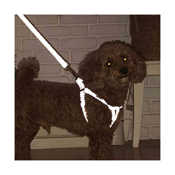 ★併売のため、在庫切れの際はご了承ください。発送委託により倉庫業者がお届けする場合がございます★【商品概要】凄く光る両面反射テープを使用。抗菌加工。アンティーク調のナスカンを採用。原産国：中国【商品説明】説明商品紹介凄く光る両面反射テープを...