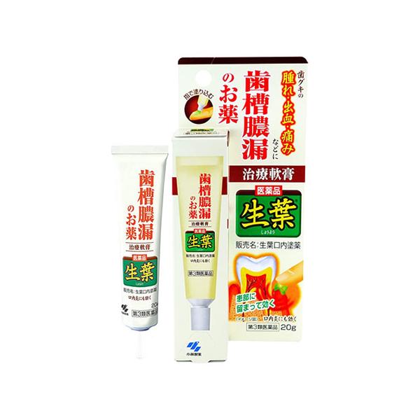 【第3類医薬品】小林製薬 生葉 口内塗薬 (20g) 歯痛・歯槽膿漏薬　