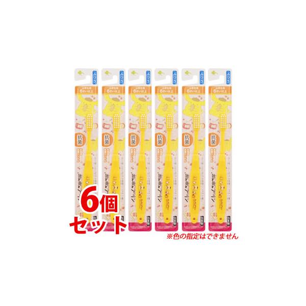 JANコード：4582451683750【オーラル】【売れ筋】