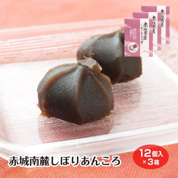滑らかな舌触りの餡で、やわらかなお餅を包みました。群馬のお土産に、お茶菓子にどうぞ お土産 群馬 和菓子 茶菓子 あんころ餅 餡子 餡 餅 餅菓子 手土産 敬老の日 ギフト