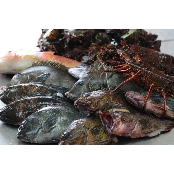 対馬で水揚げされた鮮魚介類をセットにしてお届けします。早朝、漁師さんより水揚げされた魚介類のみを使用します。市場に運ばれる前にお客様にお届けする魚介類を押さえますので鮮度は抜群です。１セットあたり4〜5種類使用し総重量4 kg前後です。刺身...