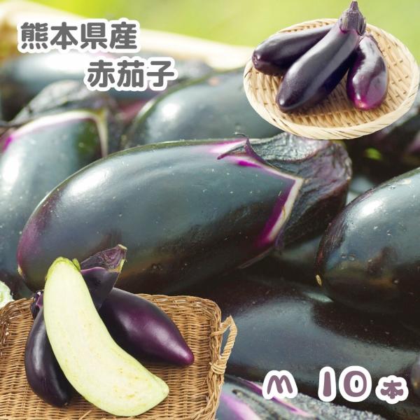 赤紫色の皮に、ずんぐりとした胴回りのボリュームたっぷりな赤茄子は熊本の伝統的な野菜です。アクが少なく、さわやかな甘みと噛み応えがあるため、一度食べると他のなすびでは物足りなく感じるほどです。【ご注文前にご注意事項をお読み下さい】※へた部分に...