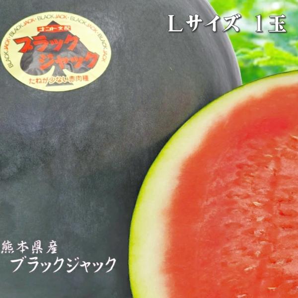 ※現在ご予約承り中　５月下旬頃からの発送種が少なく食べやすく高糖度！漆黒な見た目の希少な西瓜。シャリシャリ食感をお楽しみいただけます。【ご注文前にご注意事項をお読みください】※種なしではございません。※荷姿は写真と異なる場合がございます。※...