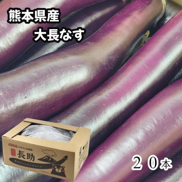 細くて長〜い、熊本特産である大長茄子をお届け。アクが少なくいため、生でも食べられます。火を通すとお箸で掴めないほどトロンとして、ほんのり甘く上品な味わいの茄子です。【ご注文前にご注意事項をお読み下さい】※へた部分にトゲがあります。調理の際は...
