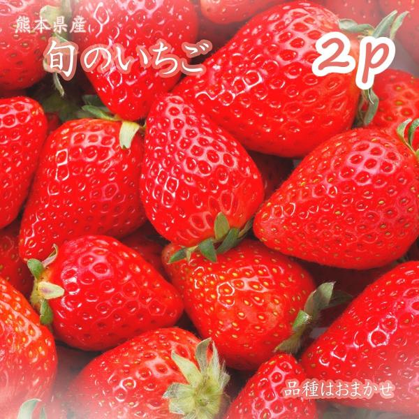 【お届け予定品種】ゆうべに　紅ほっぺ　恋みのり　かおり野　ひのしずく　さがほのか　あまおとめ　他※約250グラム(1パック)×2パック入(当店箱でお届け)【ご注文前に必ずお読みください】※品種は当店おまかせで品種のご指定はお受けしておりませ...