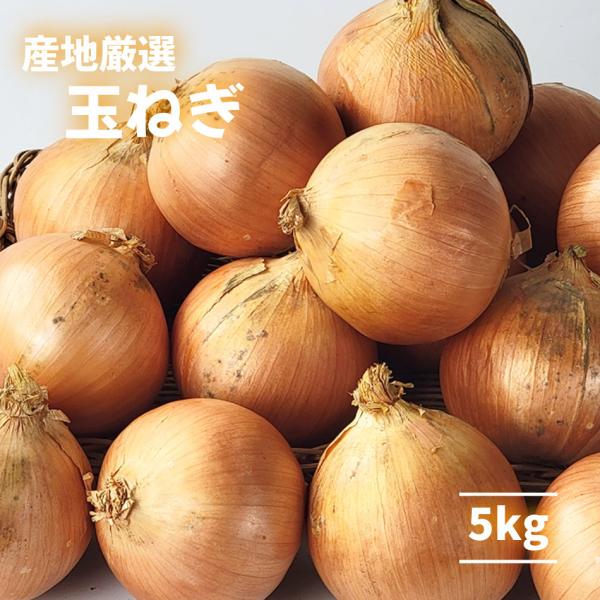 産地厳選　玉ねぎ　L大~L　5kg九州産・北海道産の玉ねぎをお届けいたします。玉ねぎは保存方法によっては、日持ちしますので、ストックにおすすめです。【注意事項】※商品のサイズのご指定はお受けできません。※配送会社のご指定はお受けできません。...