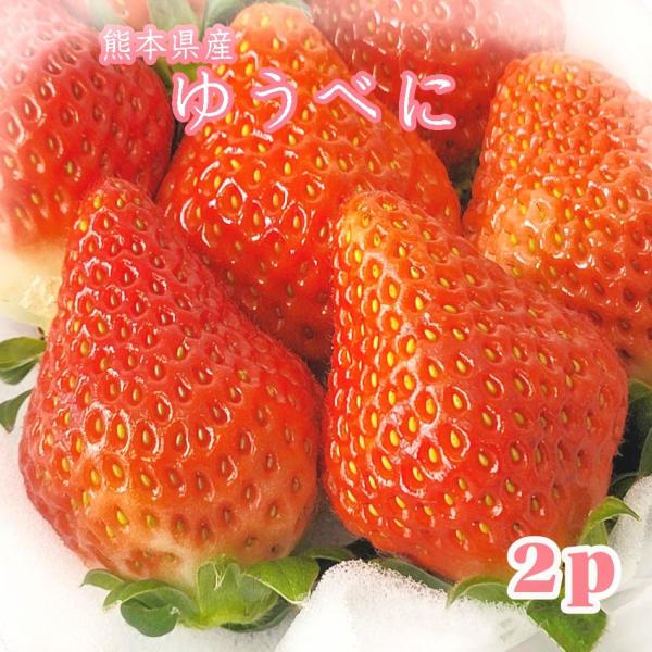 2015年100年に一度の「イチゴ(15)イヤー」に、10年の研究を経て、誕生したゆうべに。甘みと酸味のバランスがよく、フレッシュな果汁と芳醇な香りが特徴の「ゆうべに」が生まれました。※約250グラム(1パック当たり)×2パック入(当店箱で...