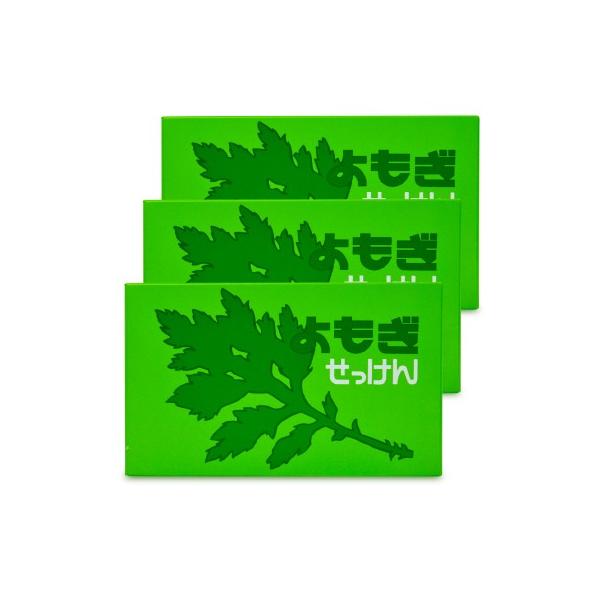 うるおいを保ちながらお肌をやさしく洗いあげますヨモギエキス(保湿成分)配合のクリーミーで泡立ち豊かな石鹸昭和50年の創業以来受け継がれた伝統と技術を、この『よもぎせっけん』に結集しています。 たくさんのお客様に愛され続けている、『地の塩社』...