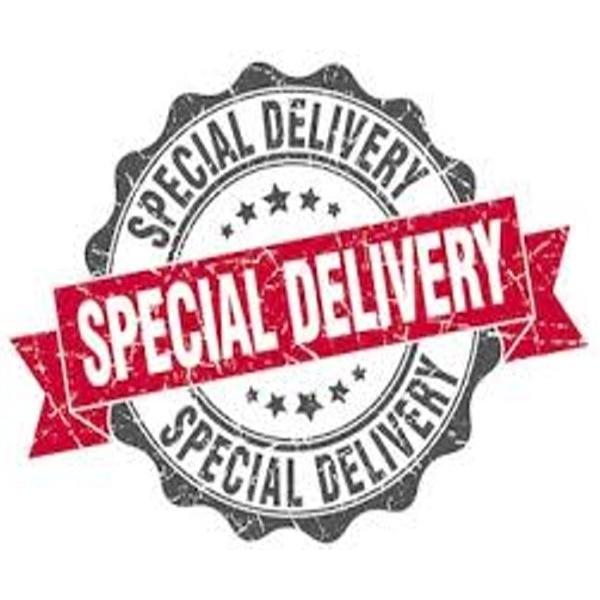 オプシ送料　再発送送料・速達料<br>弊社の商品はほとんど無料発送で注文を承っております。<br> 最初の発送について送料がいただきませんが、 但し、お客様の送り先記載漏れや長期不在で返送となった場合は、再発送の送料...