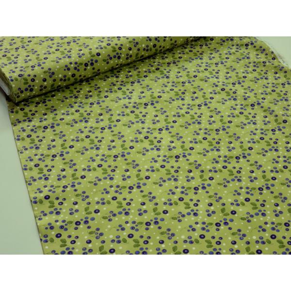 Moda Fabrics（モダファブリックス）は、テキサス州ダラスを拠点とする世界的なファブリックブランドです。常時30名以上のデザイナーとライセンス契約を結び、多彩なバリエーションの生地を展開、年間で1200柄を超える新作を次々にリリース...