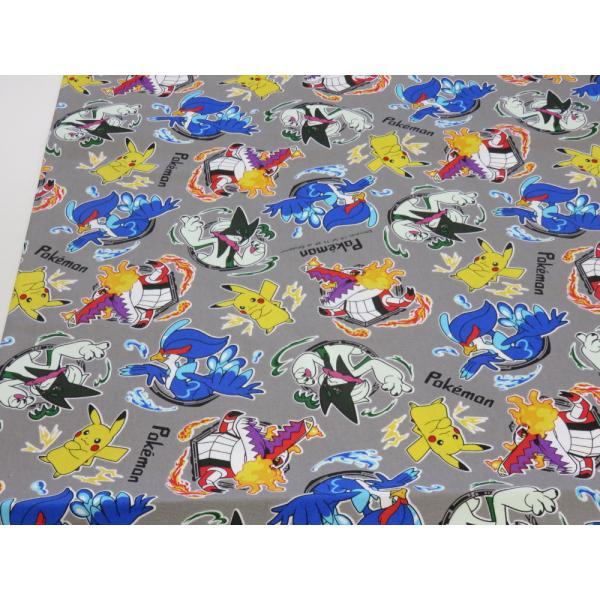 『ポケットモンスター』は任天堂より発売されているゲームソフト『ポケットモンスター』シリーズを原作とするテレビアニメ。しっかりとしたオックス生地は、子ども用バッグやシューズ入れ、スモック、エプロンやポーチなどに。★生地巾　約１０８ｃｍ★素材　...