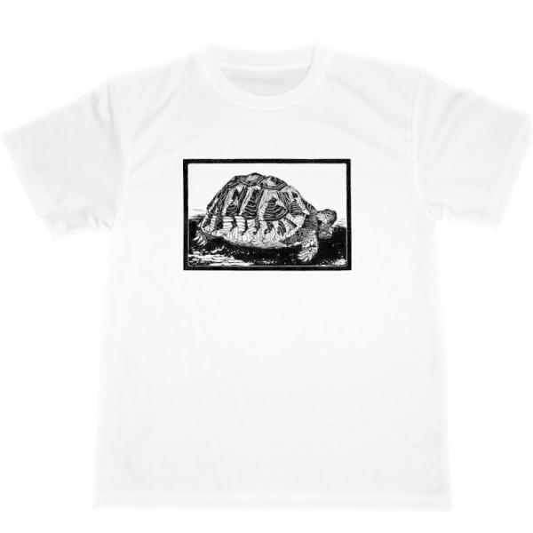 着心地の良い、ポリエステル１００％のドライＴシャツになります。生地と完全同化する特殊な方法でプリントされておりますので、スポーツ時も気になりませんし色落ちもほぼございません。　Ｔシャツのボディは同レベルのものでタグは随時かわります。大きさは...