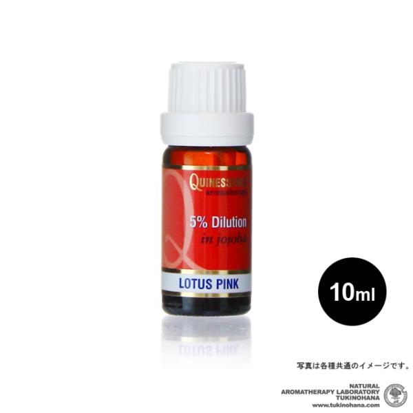 【発売日：2019年08月23日】内容量：10mlこの商品は海外からの取り寄せとなりますので、お届けまで2週間程かかります。この商品は「ネコポス便」（送料190円）での発送も可能です。※「ネコポス便」での発送をご希望の場合、ご注文内容の確認...