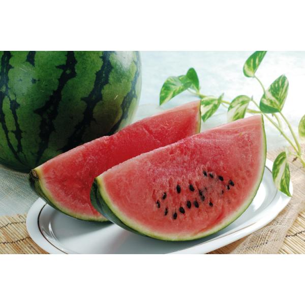 夏の定番「小玉スイカ」の中でも特に人気の高い品種、茨城県産の「紅小玉（ひとりじめ）」をお届けします！果肉は鮮やかな濃赤色で、シャリッとした歯ざわりとギュッと詰まった甘みが特徴。皮が薄く、食べやすいサイズ感で、冷蔵庫にも収まりやすく、その名の...