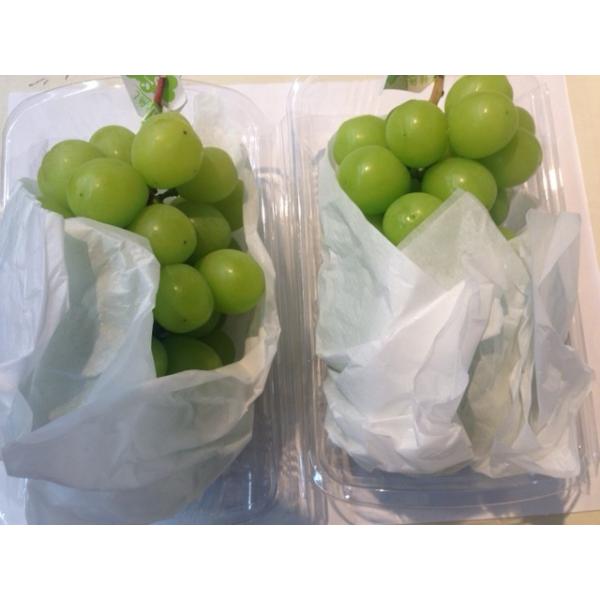 大粒で外観が優れる黄緑色のブドウ新品種ジュエルマスカット。 「ジュエルマスカット」は、大粒で黄緑色の二倍体の新品種である。 成熟期は育成地にお. [要約]。いて9月上旬で「シャインマスカット」より10日程度遅い。大粒／種なし／皮ごと食べられ...