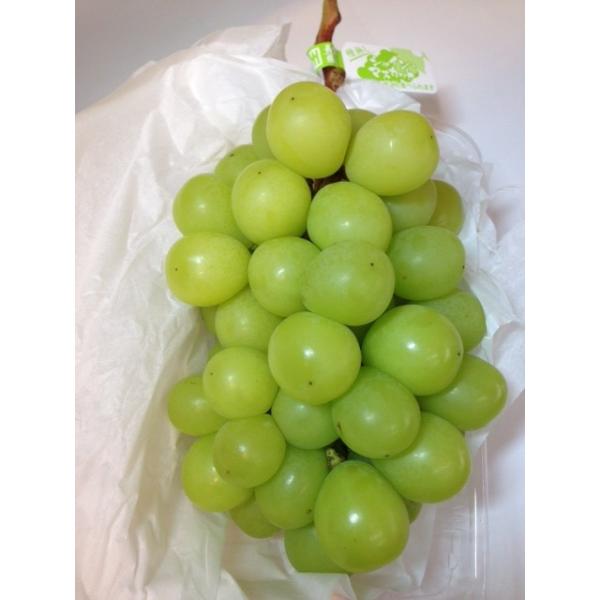 種なしで皮ごとサクサク食べられる、注目の新品種で、“ぶどうの女王様”と言われています。口のなかにストレートに広がる豊潤な甘みと高貴なマスカット香が特徴です。こちらも流通量がない極希少品種。しかし次世代の中心となる品種と言われています。 全国...