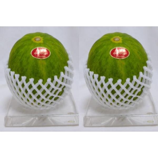 カットしてみると中は真っ白！そして溢れ出す果汁！食べてみると、瓜のようなシャキシャキとした食感♪見た目からは想像もできない甘さ！！