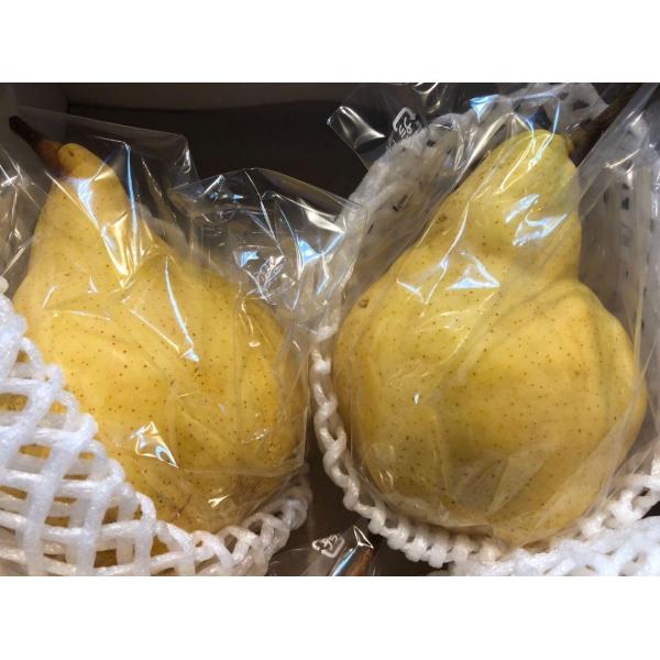 洋梨界の、プリンスといわれるルレクチェ。ルレクチェは洋ナシの風味も持ちながら、ジューシーな果肉が特徴。和ナシに似たみずみずしさがあり、酸味も少なくて甘みも強い、ラフランスとは違ったおいしさです。ルレクチェは、新潟産が有名ですが、それを和梨で...