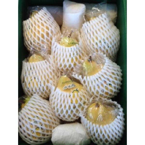 フランス原産で国産で栽培される西洋梨です。生産が難しく原産地であるフランスでは現在ほとんど生産されていません。土蔵での追熟をしています。ラ・フランスに比べ、外観が美しく、上品な甘みと香りで、高級フルーツとしてクリスマスやお歳暮などギフトに喜...