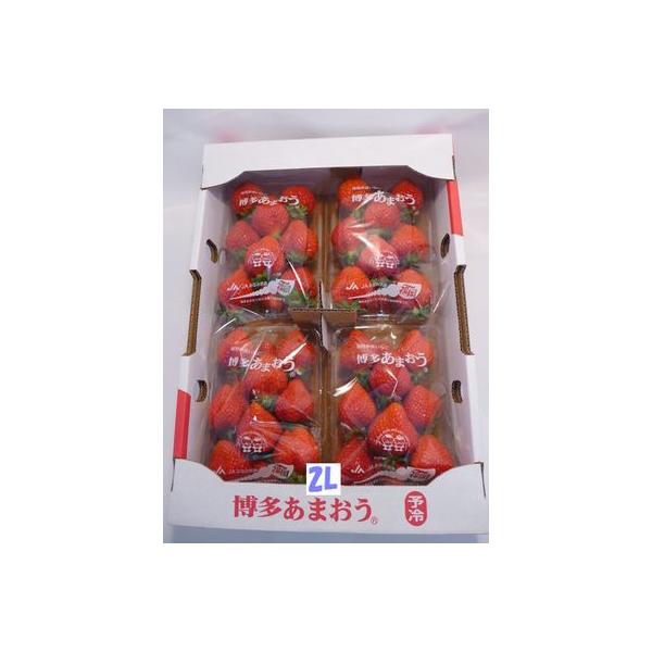 多くの特産品を誇る「福岡県」は、日本有数の味どころ。 そのなかでも、今全国的に注目されているのが「あまおう」 6年という長い年月をかけて研究開発され長た末に誕生したこの品種は、福岡県限定で生産されている大変希少価値の高いいちごです。＊期間限...