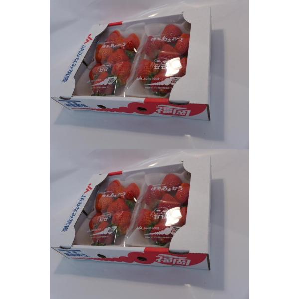冬・春限定！九州福岡から直送「あまおう苺」その名も「あかい・まるい・おおきい・うまい」、日本が誇るキングオブストロベリー「あまおう」。フルーツソムリエが厳選したこの苺は、食べればわかる“一粒で感動体験”。肉厚でジューシー、噛むたびに果汁があ...