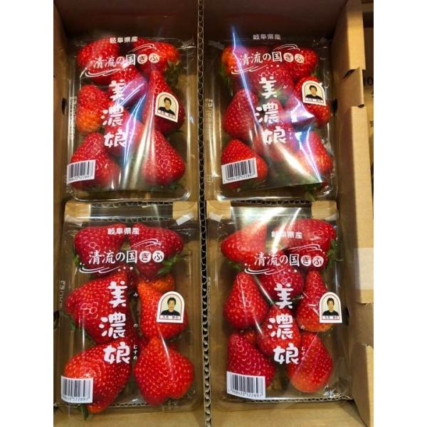 美濃娘パック入り 果実は大粒の円錐形で、表皮の艶がよく手にした感じもやや硬めでしっかりとしていました。 切ってみると中の果肉は白く、果芯部にはすこし空洞も見られます。 果実が硬く、食感、日持ち. が良いです。