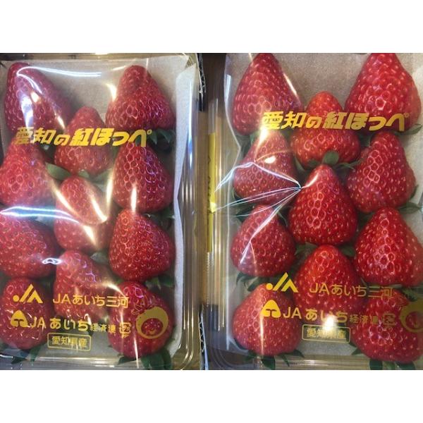 紅ほっぺは果肉が大きく、甘味もつよいですが、酸味も同時に強みです。イチゴ本来の、甘酸っぱさを堪能できる品種です。形は少し円錐形です。紅ほっぺは、中身が非常に赤いので、ケーキやデコレーション用としてよく用いられます。酸味が強いので、練乳との相...