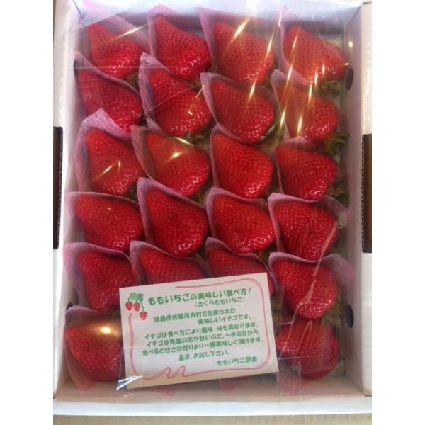 さくらももいちごは徳島県佐那河内村（さなごうちそん）で作られているいちごです。さくらももいちごは「ももいちご」と同じく徳島県佐那河内村（さなごうちそん）のブランドイチゴ（登録商標）です。使われている品種名は公表されていませんが、「ももイチゴ...