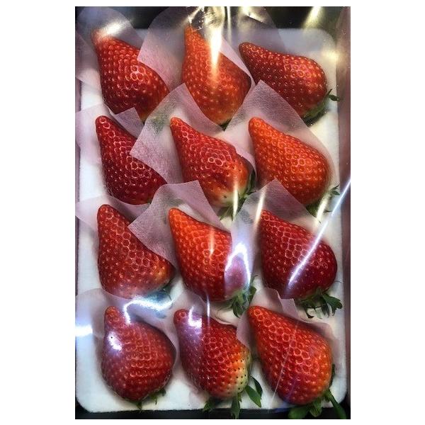 『濃姫』『美濃娘』に比べ、粒が一回り大きく、果汁たっぷりでジューシー。また果皮は真っ赤で、果形はきれいな円すい形をしています。2018年から出荷された、待望の新品種、化粧箱入りいちごです。