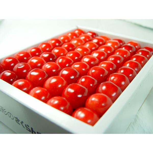 【佐藤錦】は、糖度がのって熟した後に赤く色付く品種です。さくらんぼの樹下の地面に反射シートを敷いて、無理やり色付きを早めることなどは極力行なわず、自然に色付くまで樹上で熟させることにより抜群の糖度を誇ります。