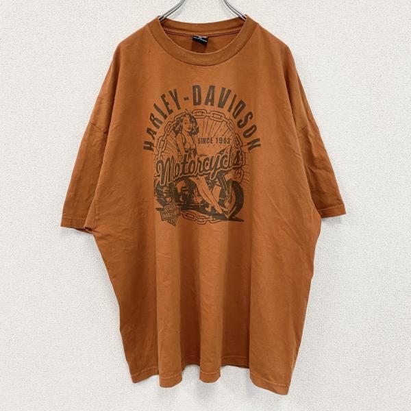 ■商品情報【管理番号】00006369【ブランド】HARLEY DAVIDSON/ハーレーダビッドソン【アイテム】半袖Ｔシャツ【タイプ】ヴィンテージ【対象】ユニセックス【重量】200g【素材】コットン【表記サイズ】XXXL【付属品】なし【商...