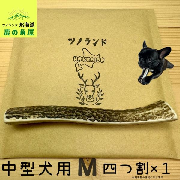 ご覧頂きありがとうございます。こちらの商品はMサイズ四つ割1本です。中〜大型のワンちゃん用になります。四つ割は食い付きが良いと好評です！大切なワンちゃんが口にする物だからこそ新鮮なシカ角をあげたい、高品質でコスパの良い鹿ツノをお探しの飼い主...