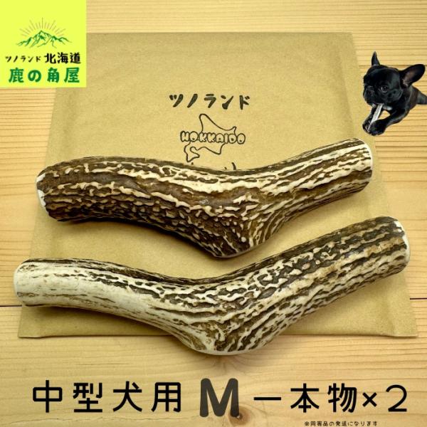 ご覧頂きありがとうございます。こちらの商品はMサイズ一本物2本セットです。中〜大型のワンちゃん用になります。割っていないタイプなのでとても長持ちです！大切なワンちゃんが口にする物だからこそ新鮮なシカ角をあげたい、高品質でコスパの良い鹿ツノを...