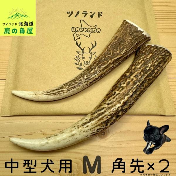 ご覧頂きありがとうございます。こちらの商品はMサイズ角先2本です。中〜大型のワンちゃん用になります。角先はホールドのしにくさがクセになる様です！また、角先は前歯でガジガジします、四つ割や半割は奥歯ですので使い分けて遊ばせる事が出来ます。大切...